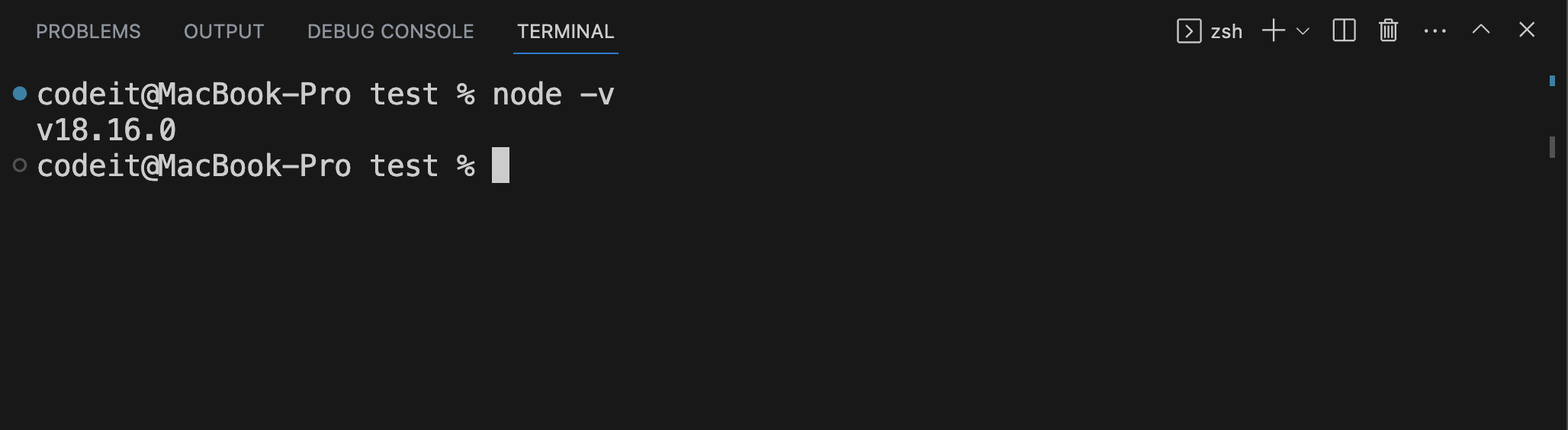 Node.js 설치하기(macOS) | 코드잇